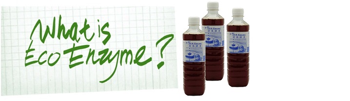 Tìm hiểu eco enzyme là gì và tác dụng của nó trong sản xuất thực phẩm